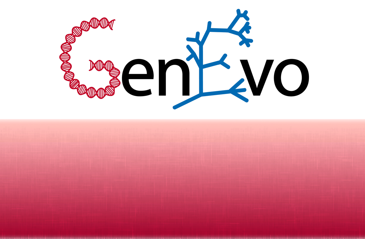 DFG renews funding for Research Training Group GenEvo at Johannes ...